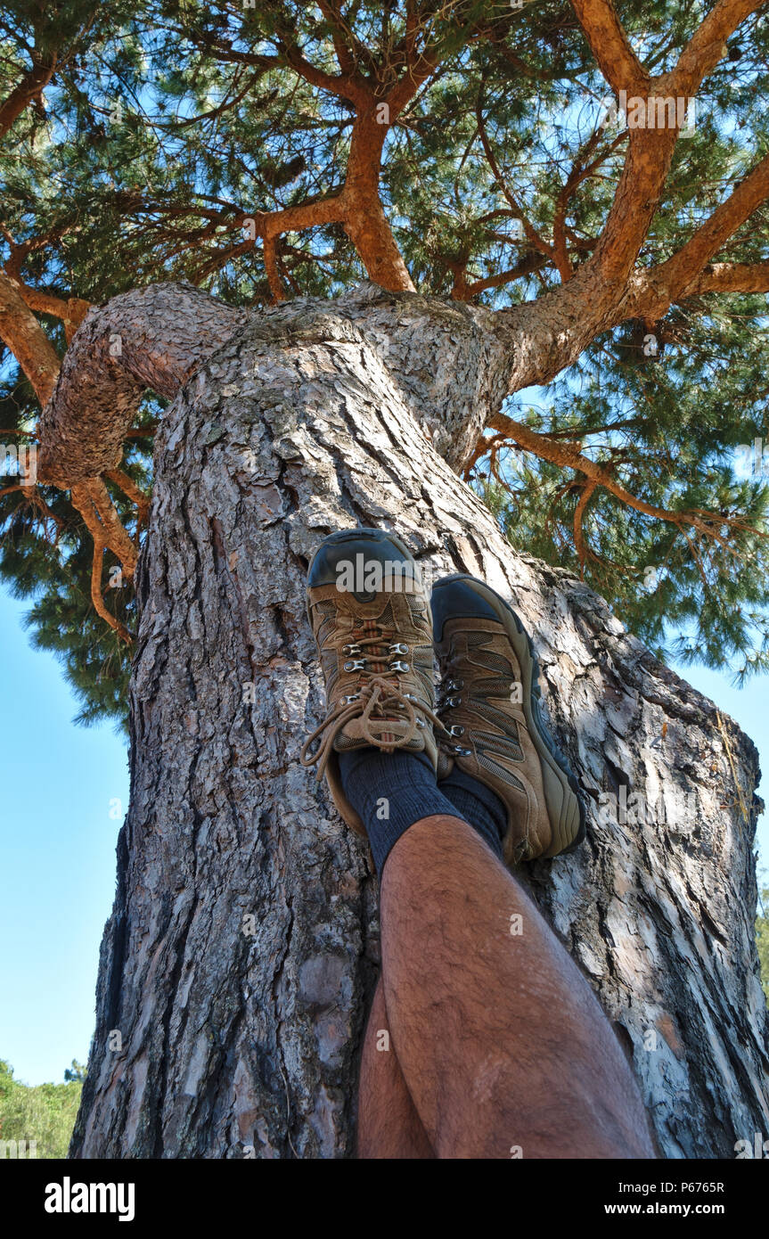 Resting under a tree hi-res stock photography and images - Alamy