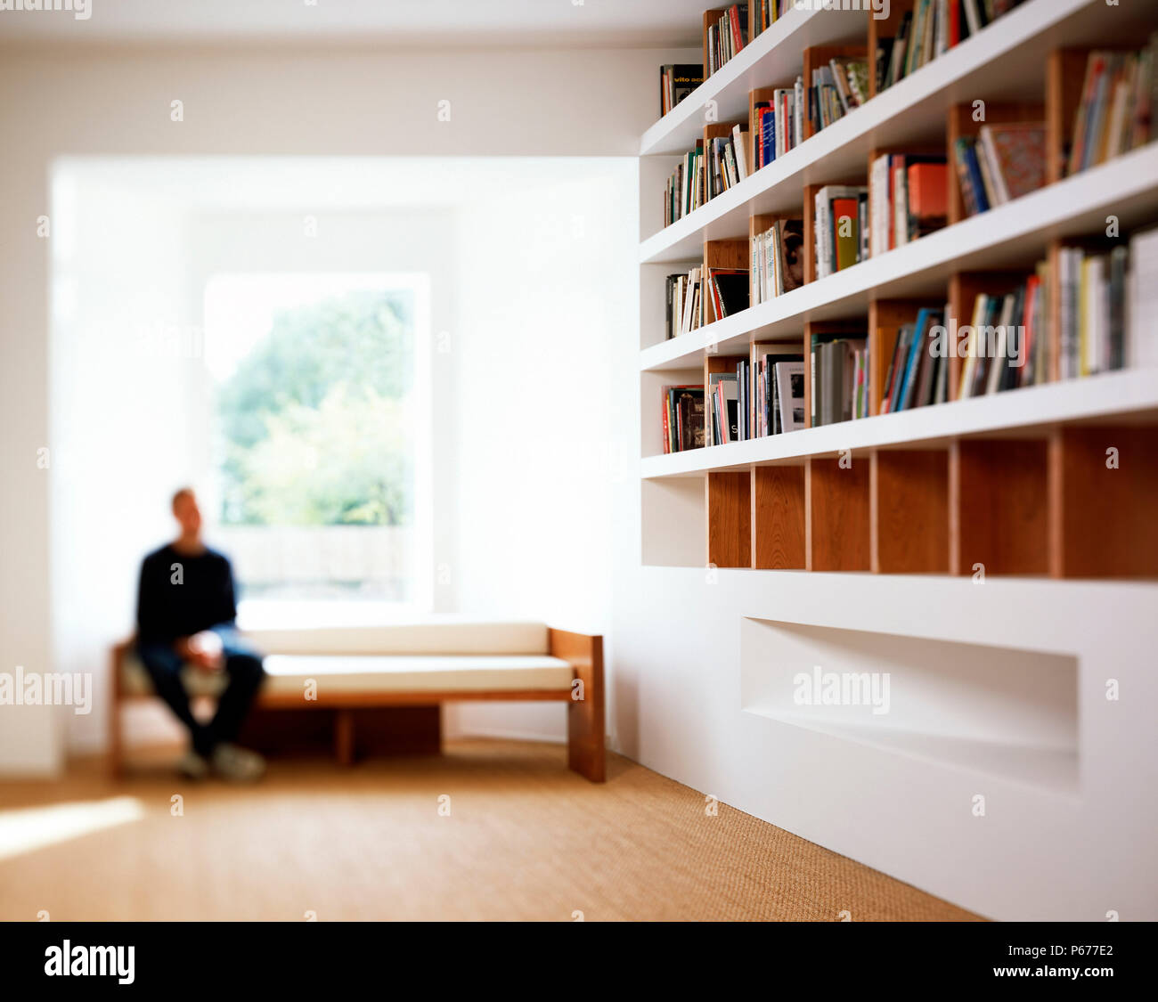 Seating and bookshelves in modern private library Stock Photo - Alamy