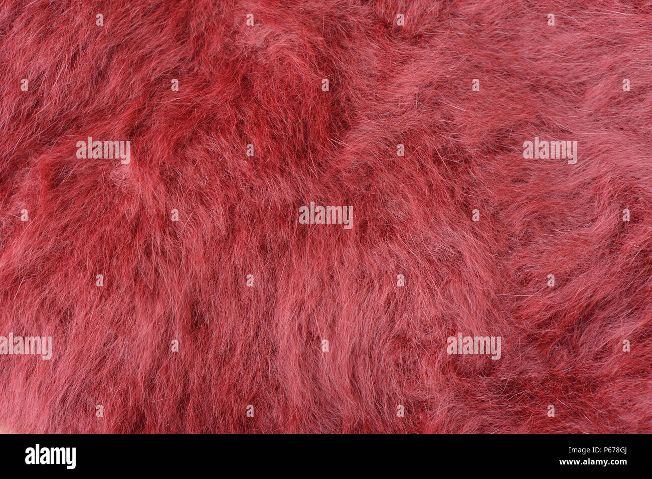 abstract red fur texture as a background, graphic resource Stock Photo ...