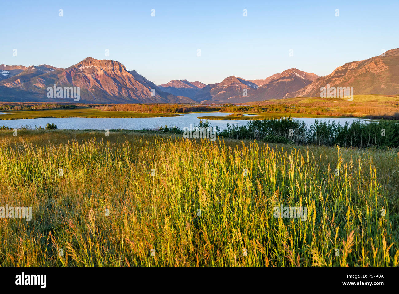 Waterton lakes national park maskinonge lake dawn hi-res stock ...