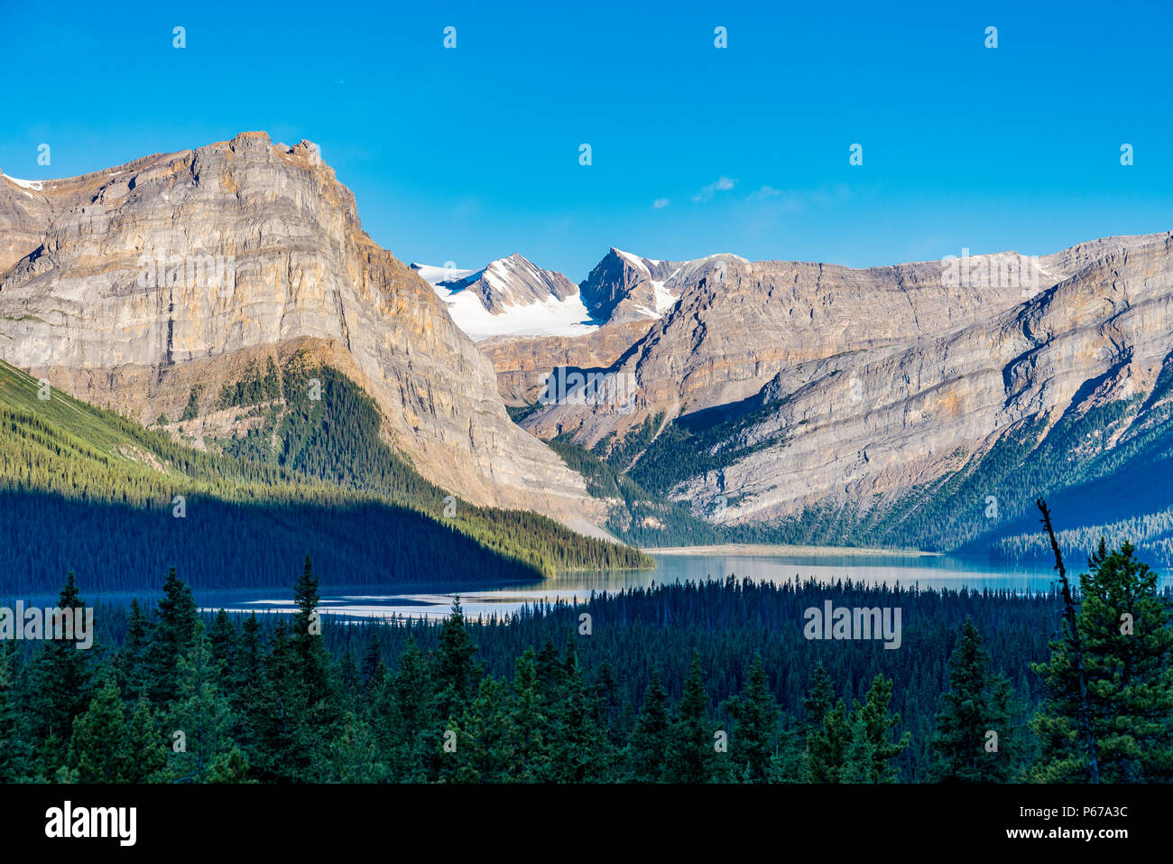 Hector Lake, Banff National Park, Alberta, Canada Stock Photo - Alamy