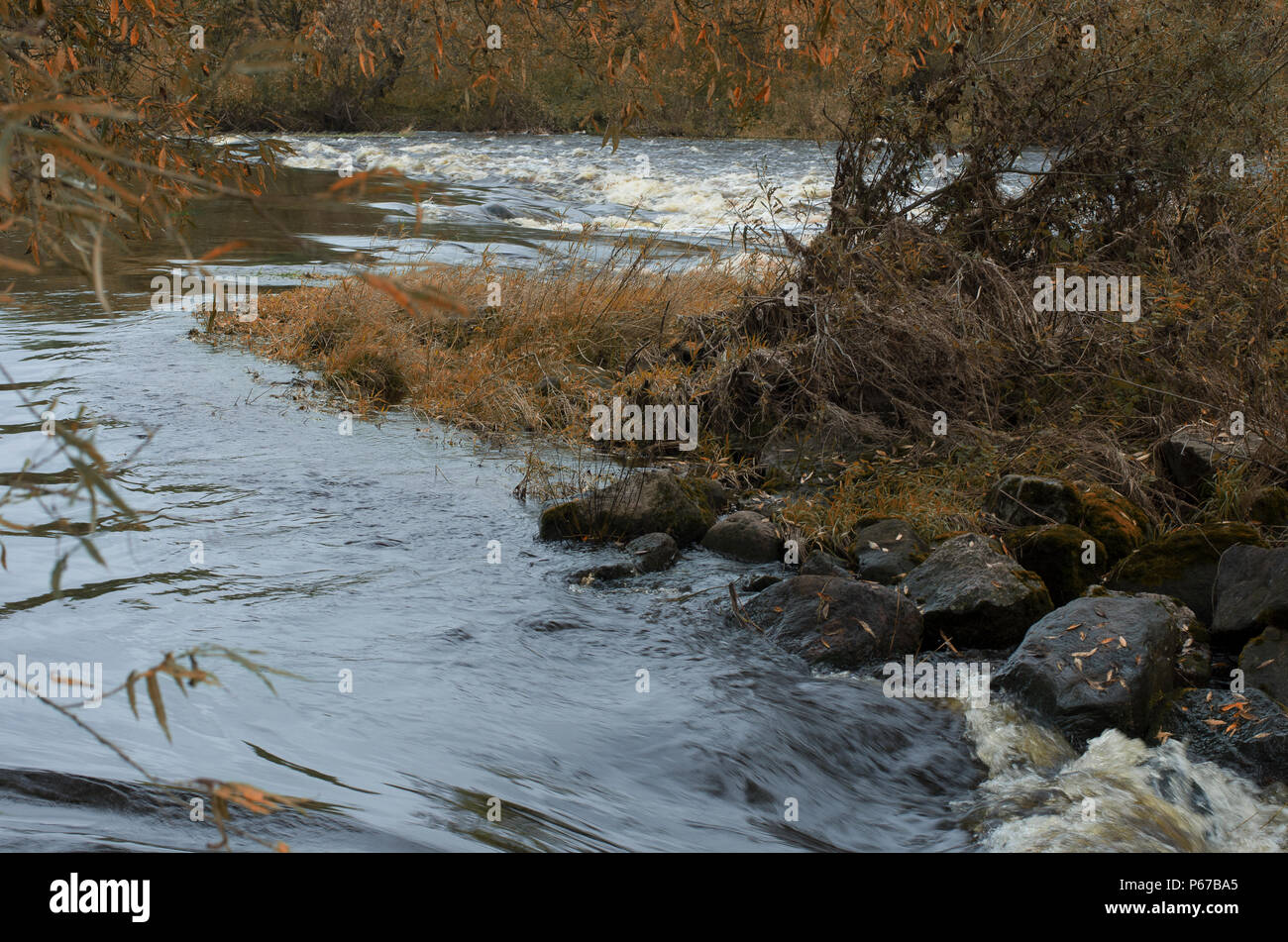 Chaotic autumn landscape with the river and the overgrown and littered ...