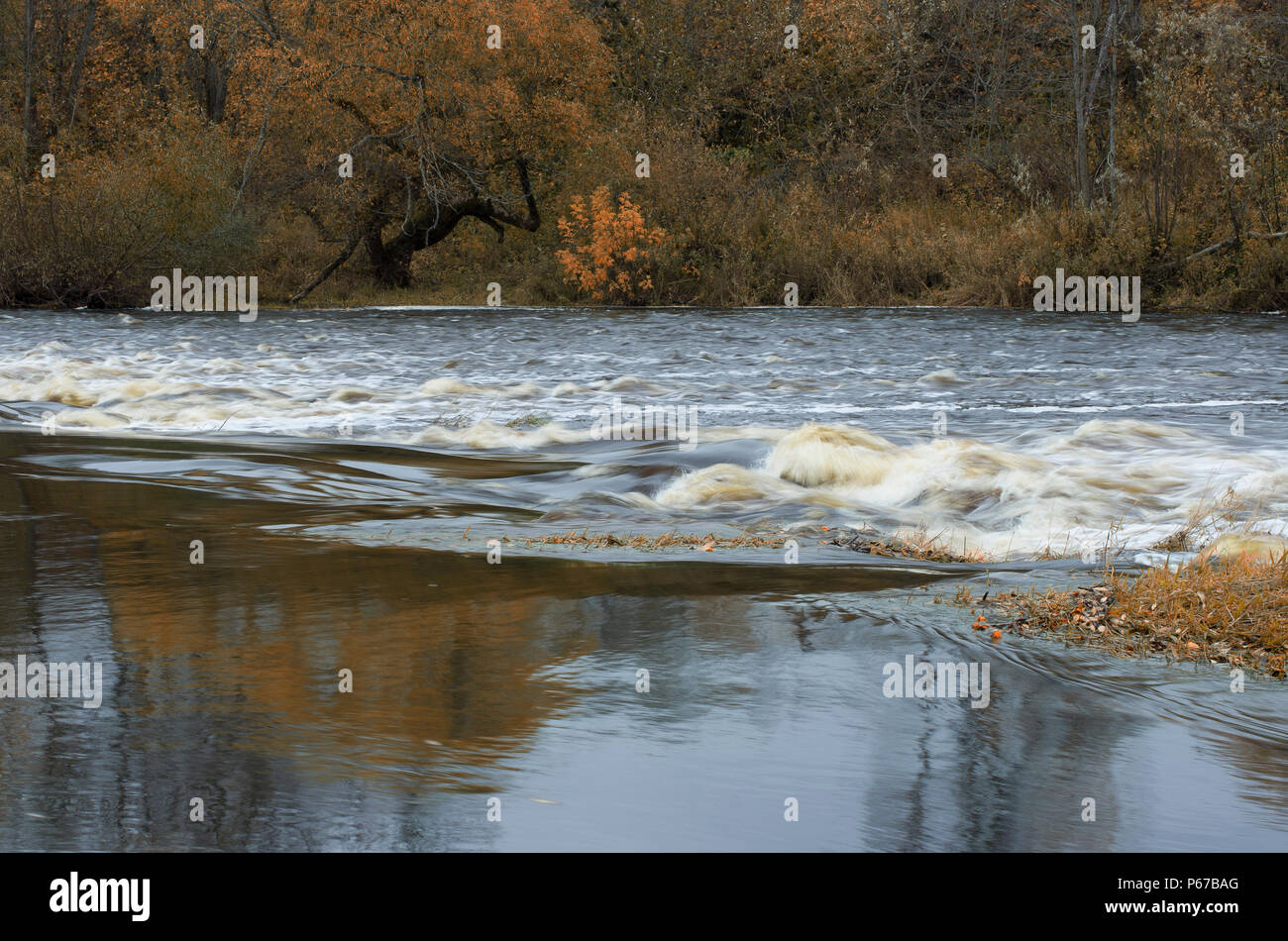 Rapid river flows and the faded brown wood on coast late fall Stock ...
