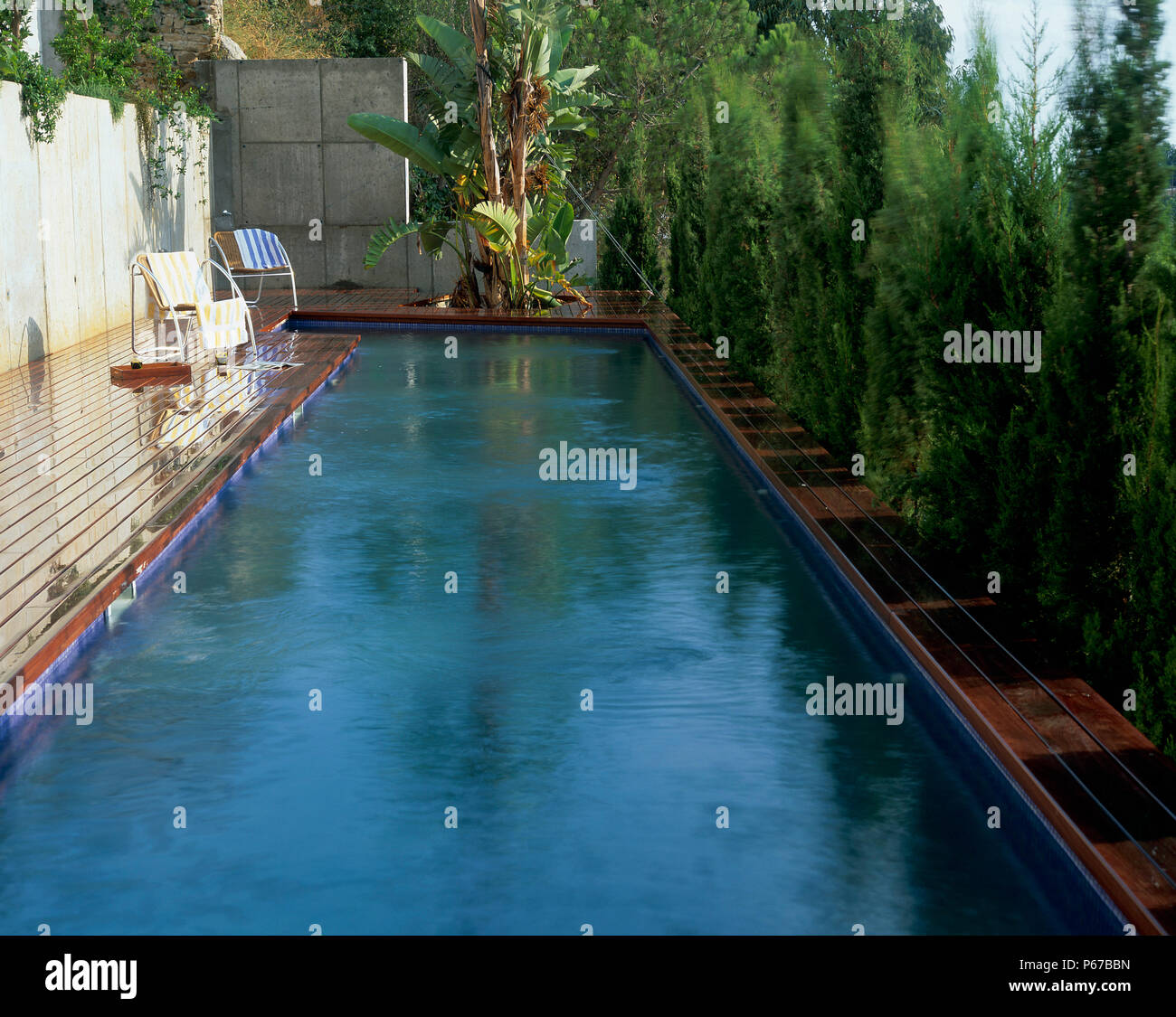View of a long swimming pool Stock Photo - Alamy