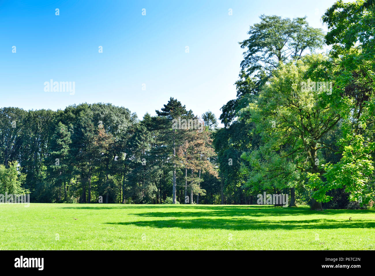 Idyllic scene tranquil park hi-res stock photography and images - Alamy