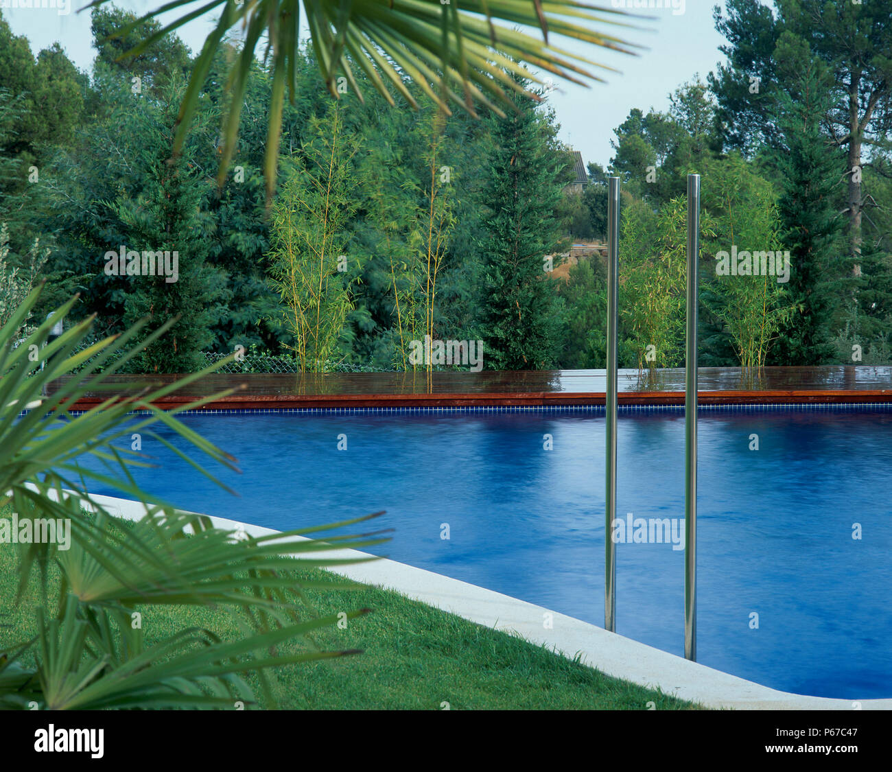 View of a swimming pool with trees at the back Stock Photo - Alamy