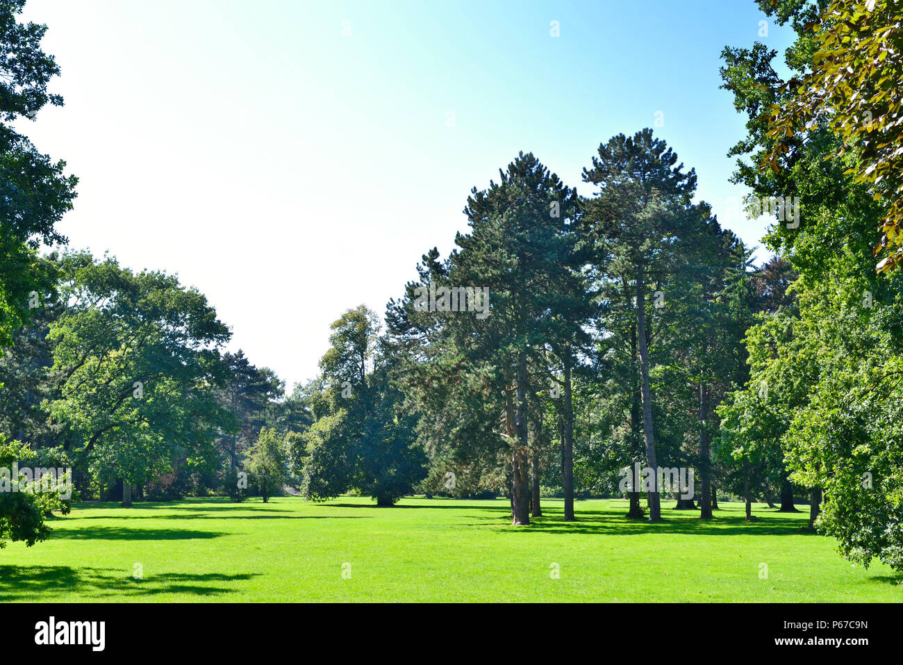 Park background blue sky hi-res stock photography and images - Alamy