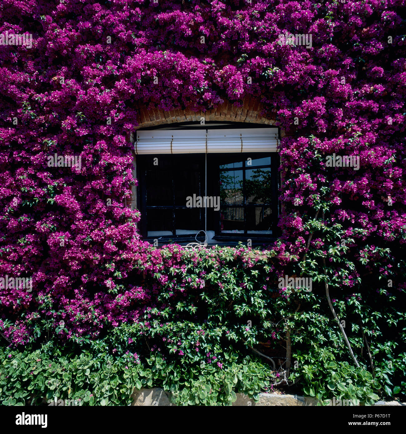 27677 hi-res stock photography and images - Alamy