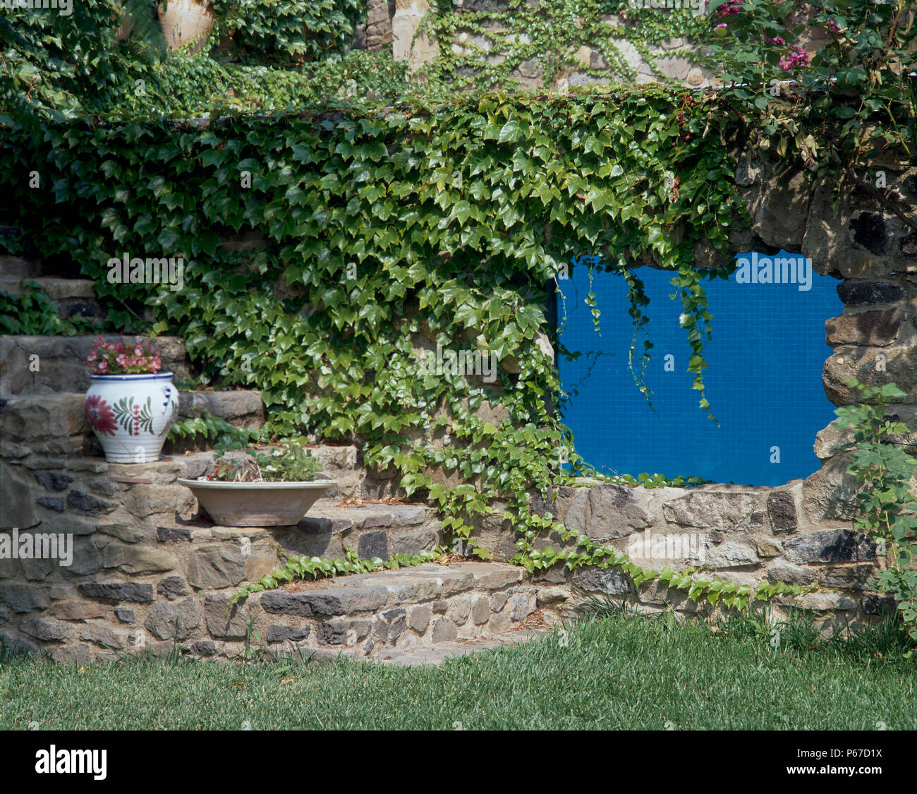 View of creepers growing alongside stone steps Stock Photo - Alamy