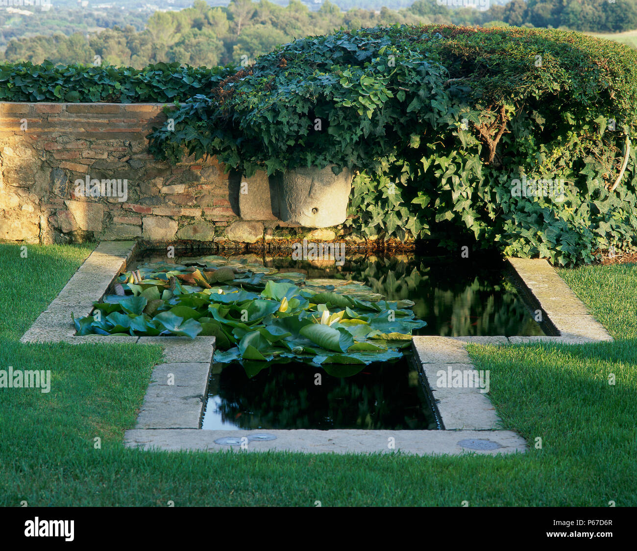 Submerged pond plants hi-res stock photography and images - Alamy