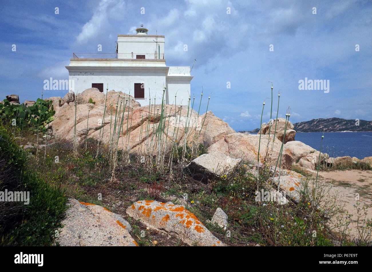 Palau, Sardinia, Punta Sardegna Lighthouse with wild garlic flowering ...