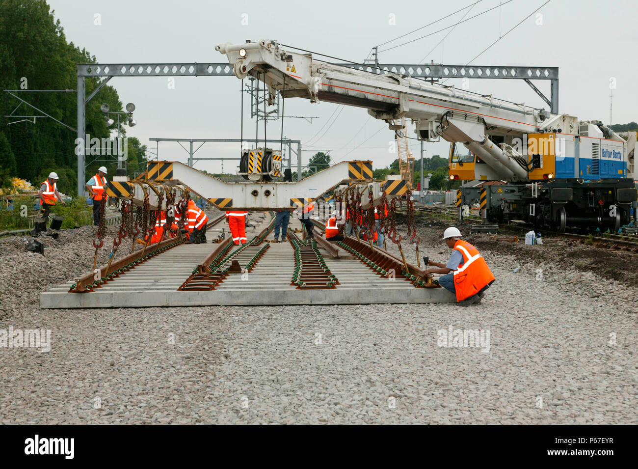 Magnificent crane hi-res stock photography and images - Alamy