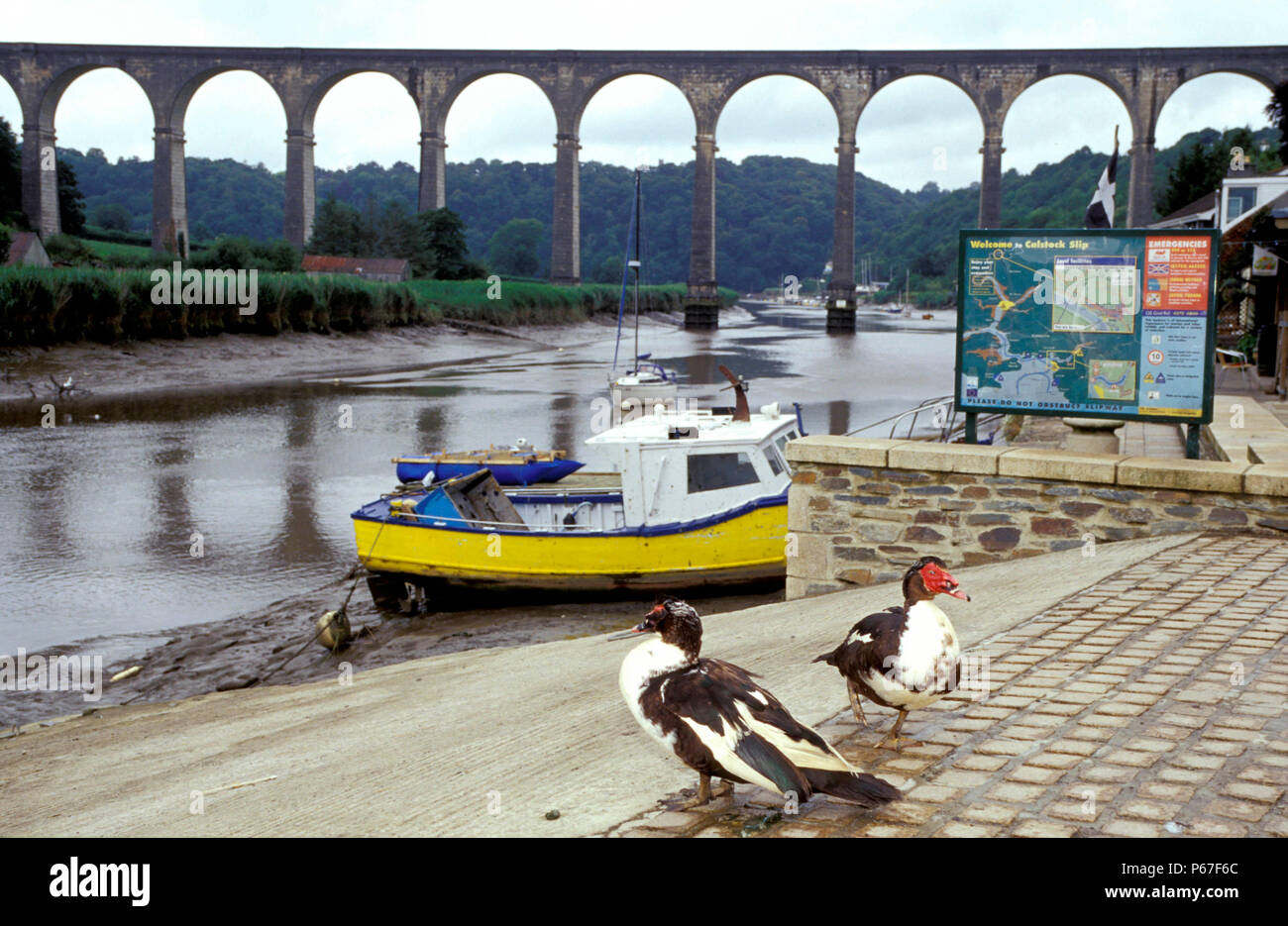 Calstock viaduct crosses the river Tamar which forms the border between ...
