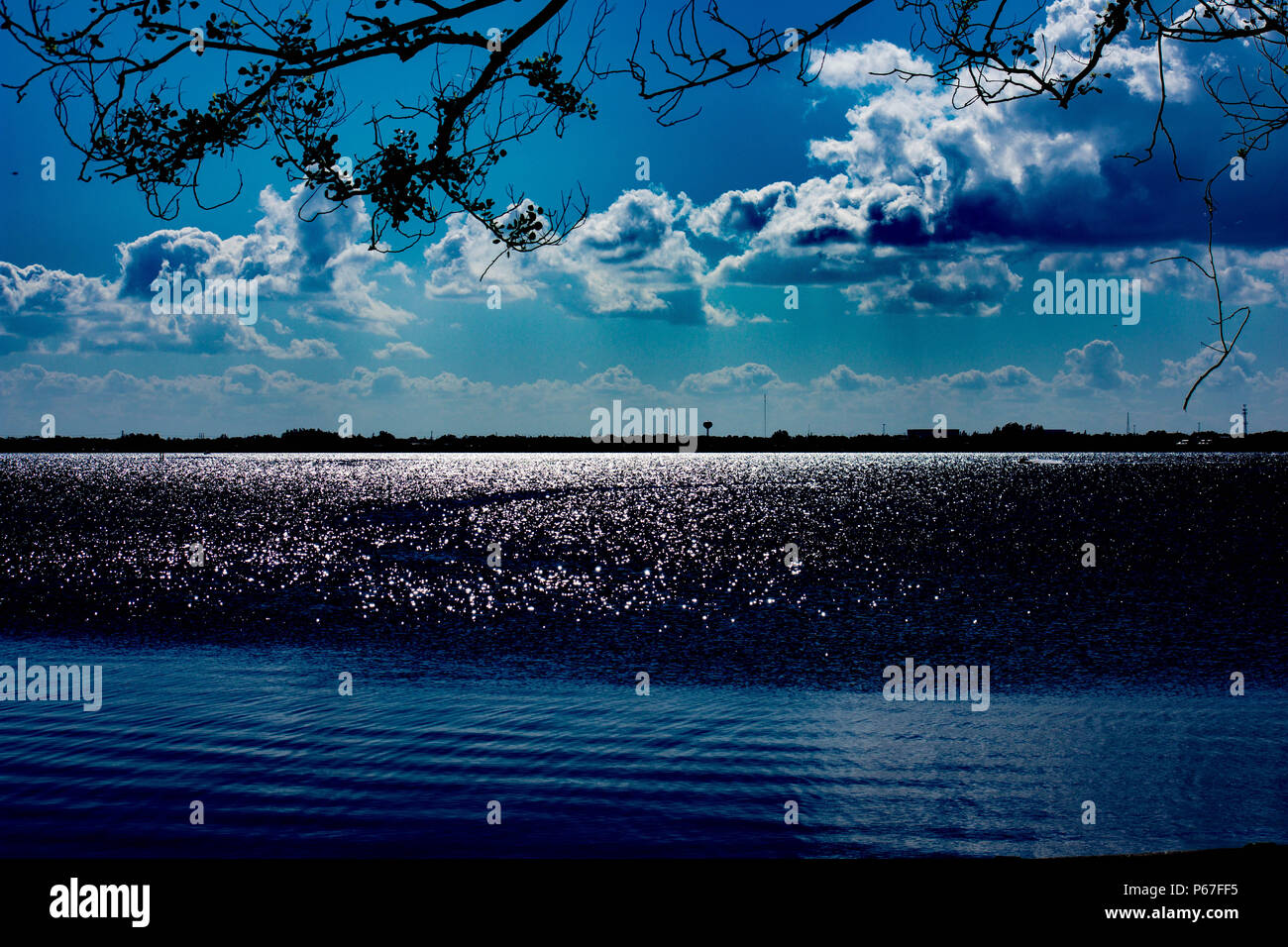 Banana river sparkling mid day in florida Stock Photo - Alamy