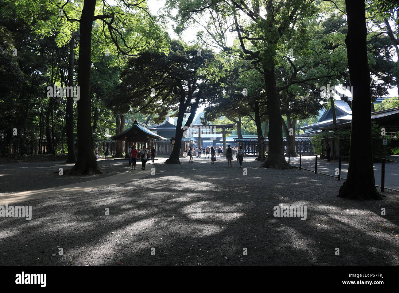 Meiji Jingu Shrine, Tokyo, Japan Stock Photo - Alamy