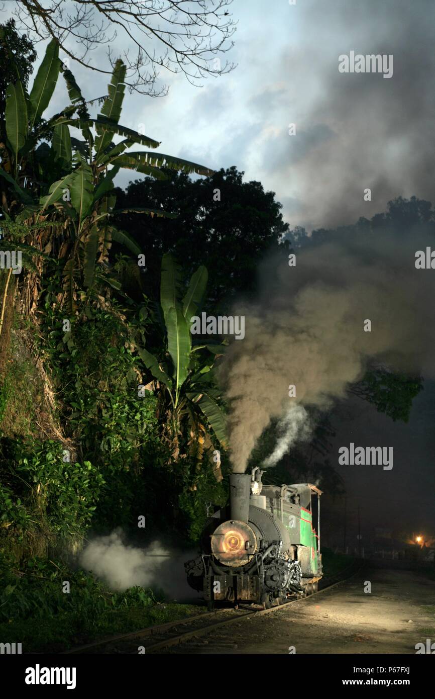 Tipong colliery assam hi-res stock photography and images - Alamy