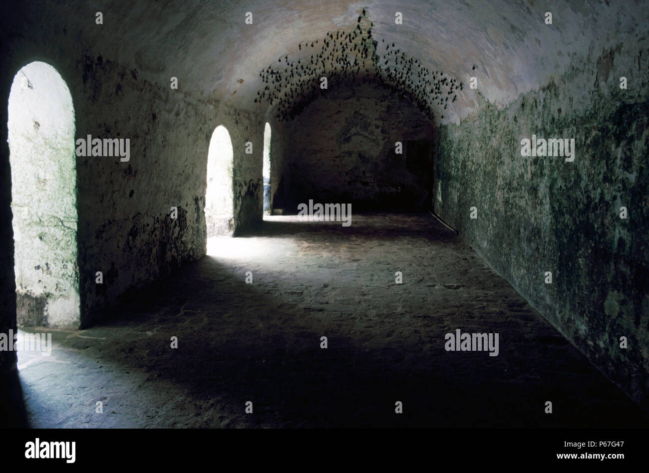 Gold Coast Slaving Fort. Inside the dungeons at Elmina Castle the vile ...