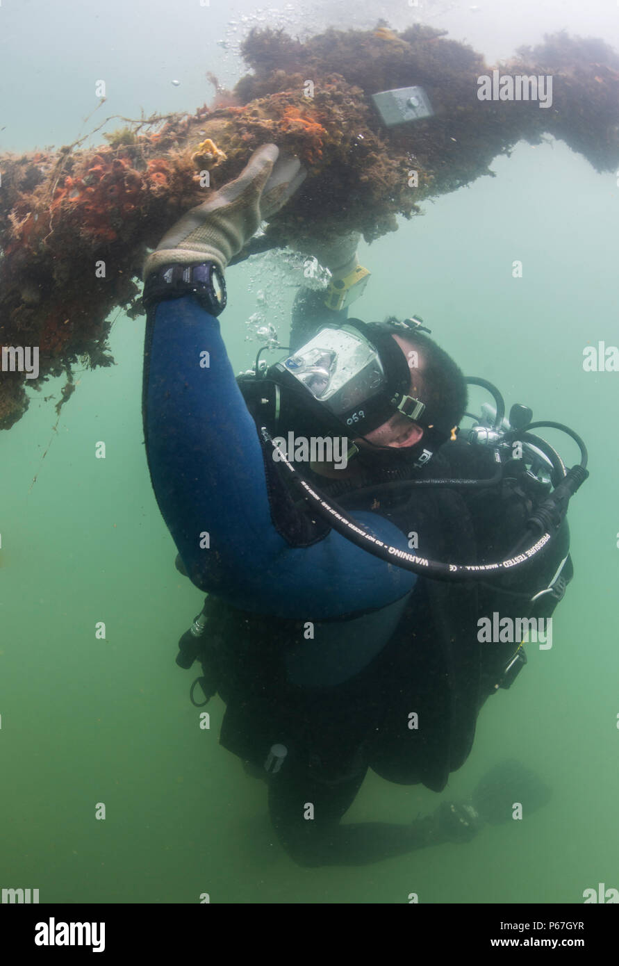 Chief Construction Mechanic Jeffrey Niblo, with Underwater Construction ...