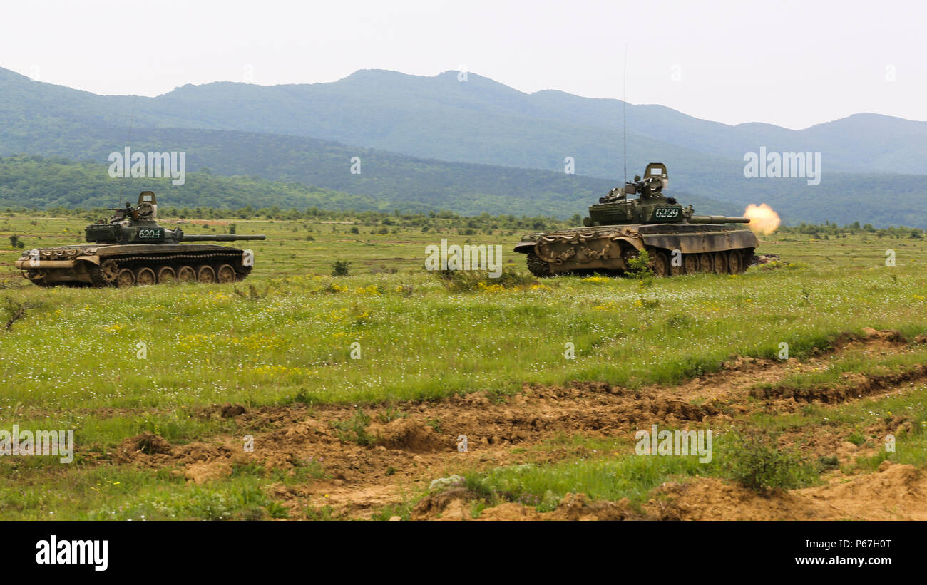 Bulgarian soldiers with the 42nd Mechanized Battalion, fire downrange ...