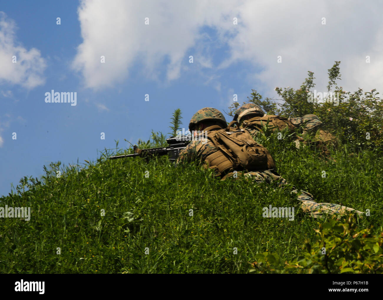 634th infantry battalion hi-res stock photography and images - Alamy