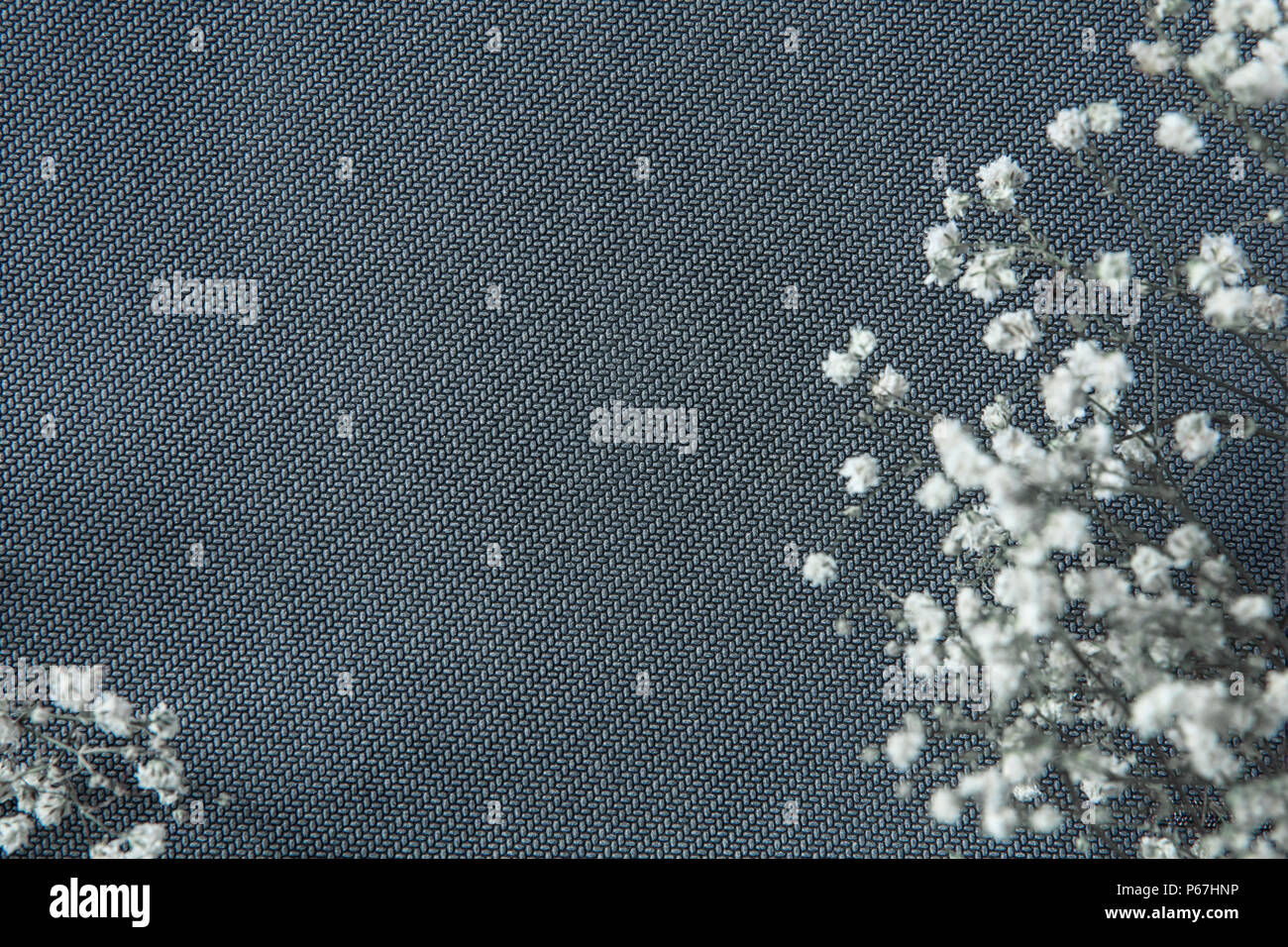 Background rose tree hi-res stock photography and images - Alamy