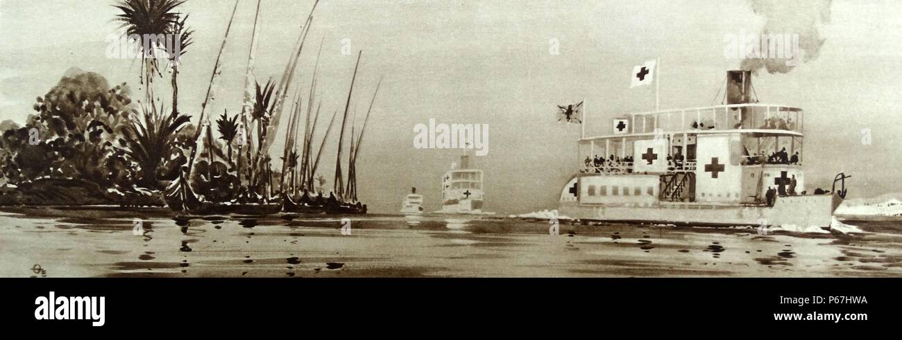 Thomas Cook cruise ships converted to use as hospital ships sail the ...