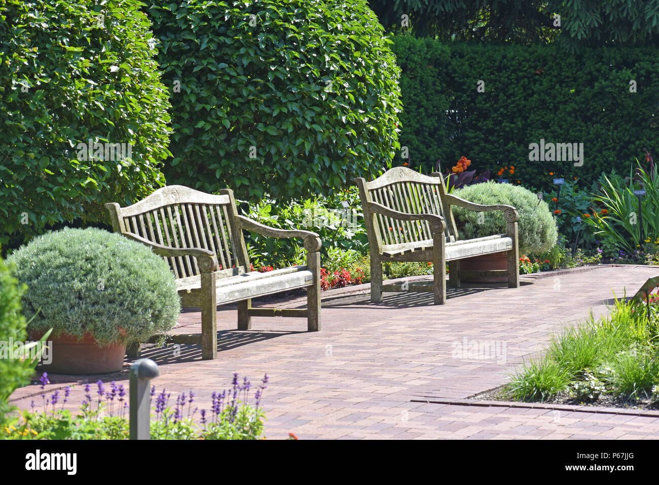 Two Wooden Benches in Garden Stock Photo - Alamy
