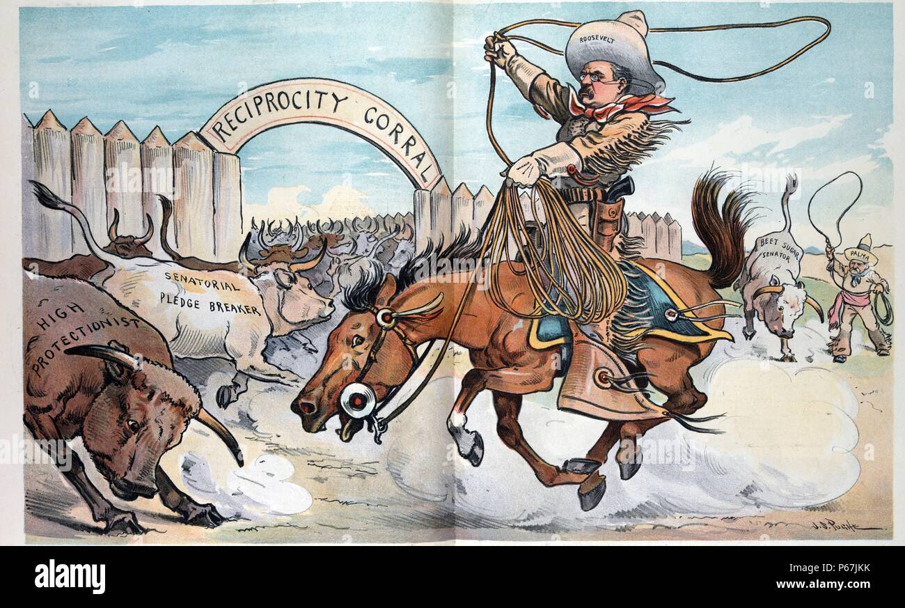 Theodore Roosevelt Como Cowboy