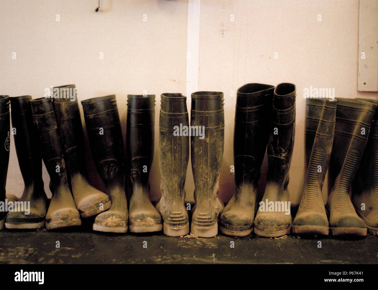 Safety boots lined hi-res stock photography and images - Alamy