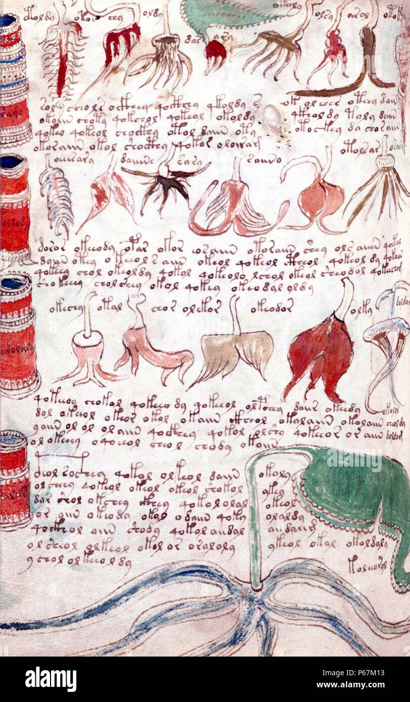 The Voynich Manuscript is considered by scholars to be most interesting ...