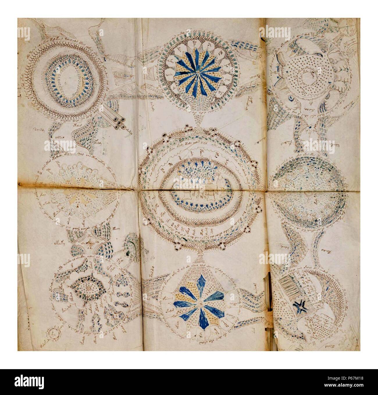 Voynich manuscript hi-res stock photography and images - Alamy