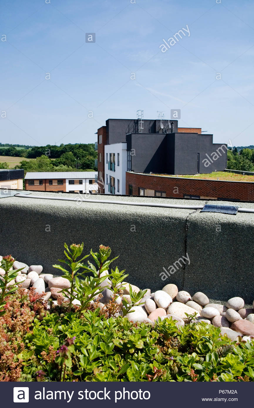Sedum Roof Stock Photos & Sedum Roof Stock Images - Alamy