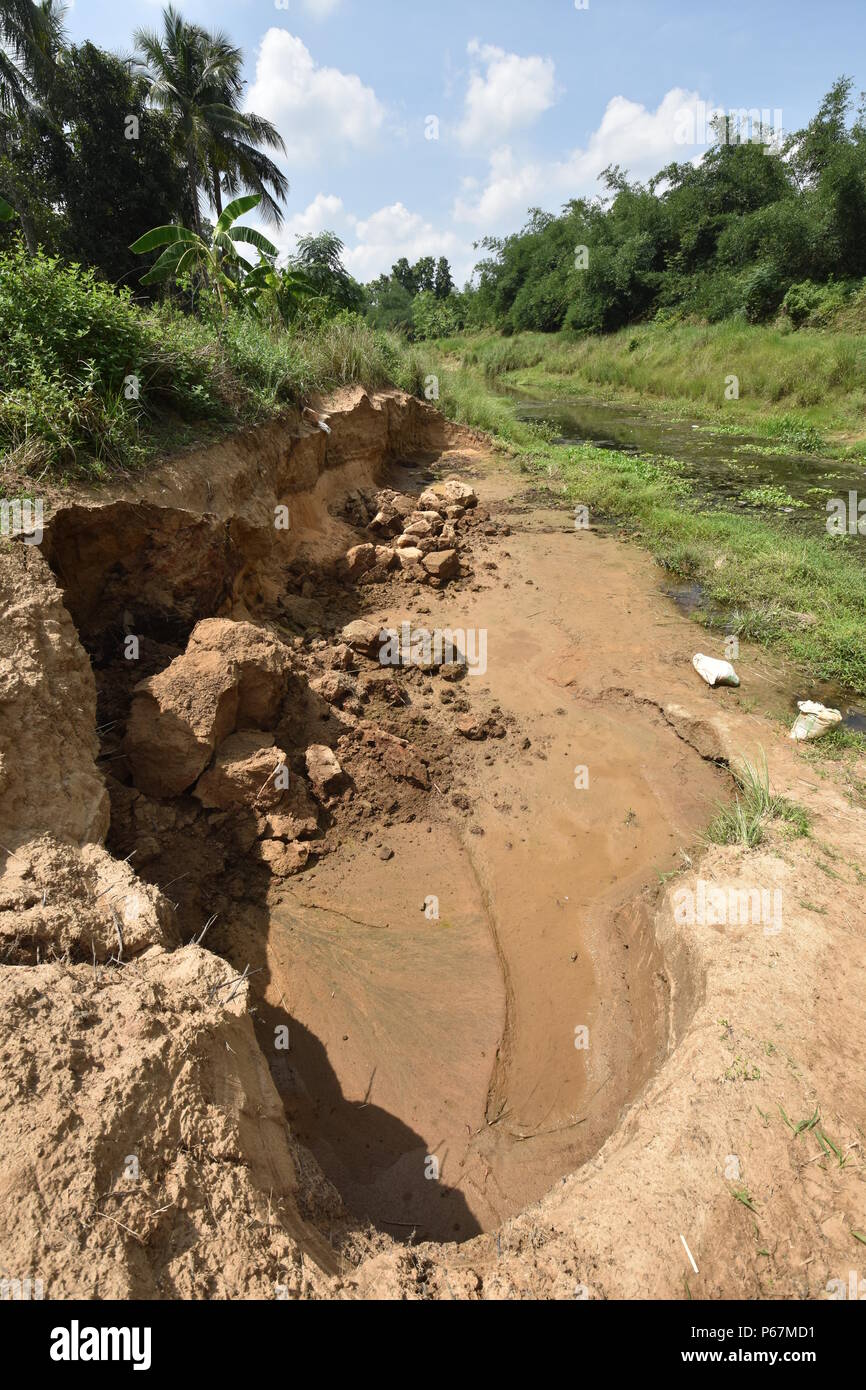 Riverbank erosion of river Kaushiki or Kana-Damodar in Garh Bhabanipur ...