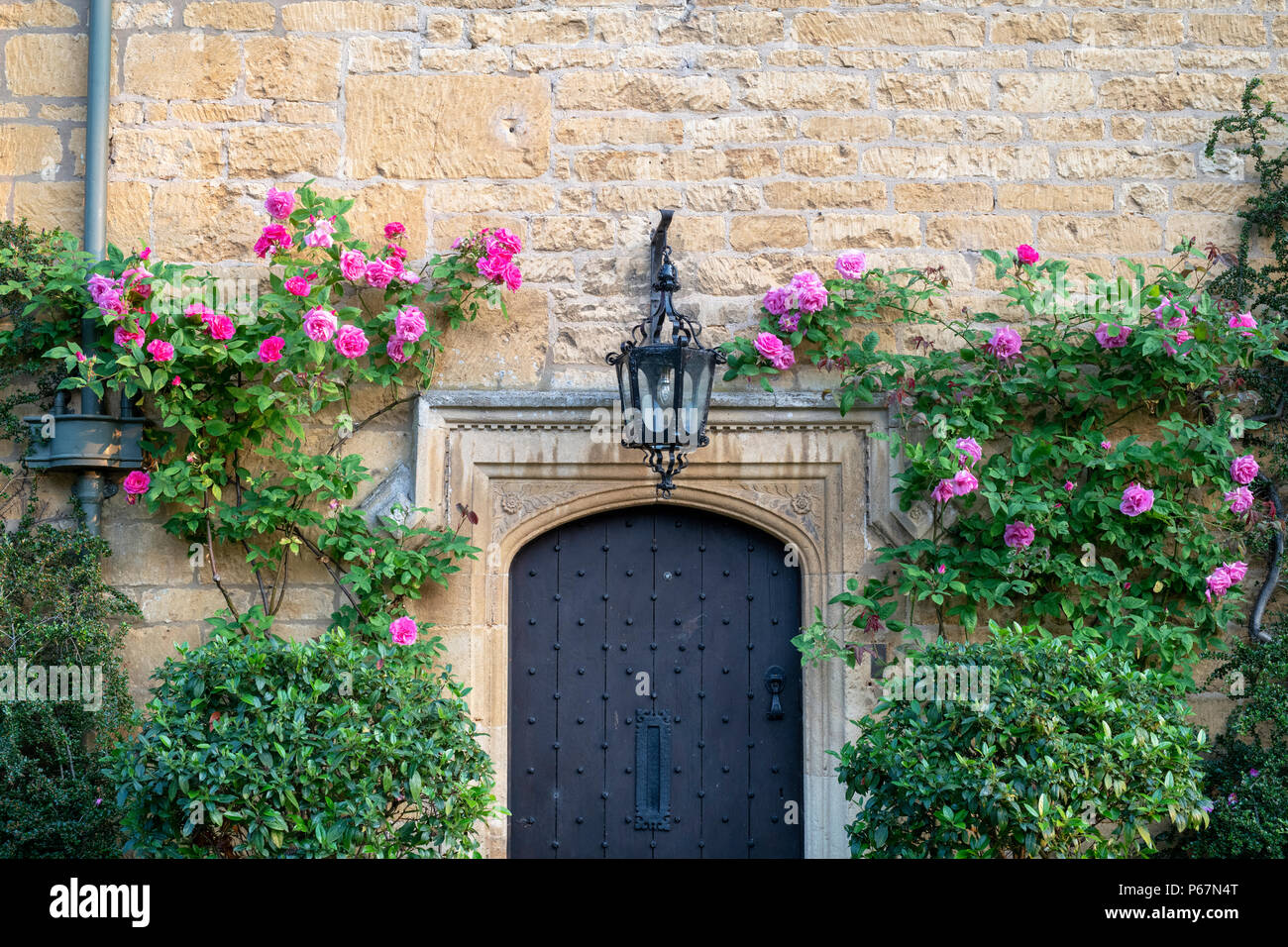 Cottage roses around the door hi-res stock photography and images - Alamy