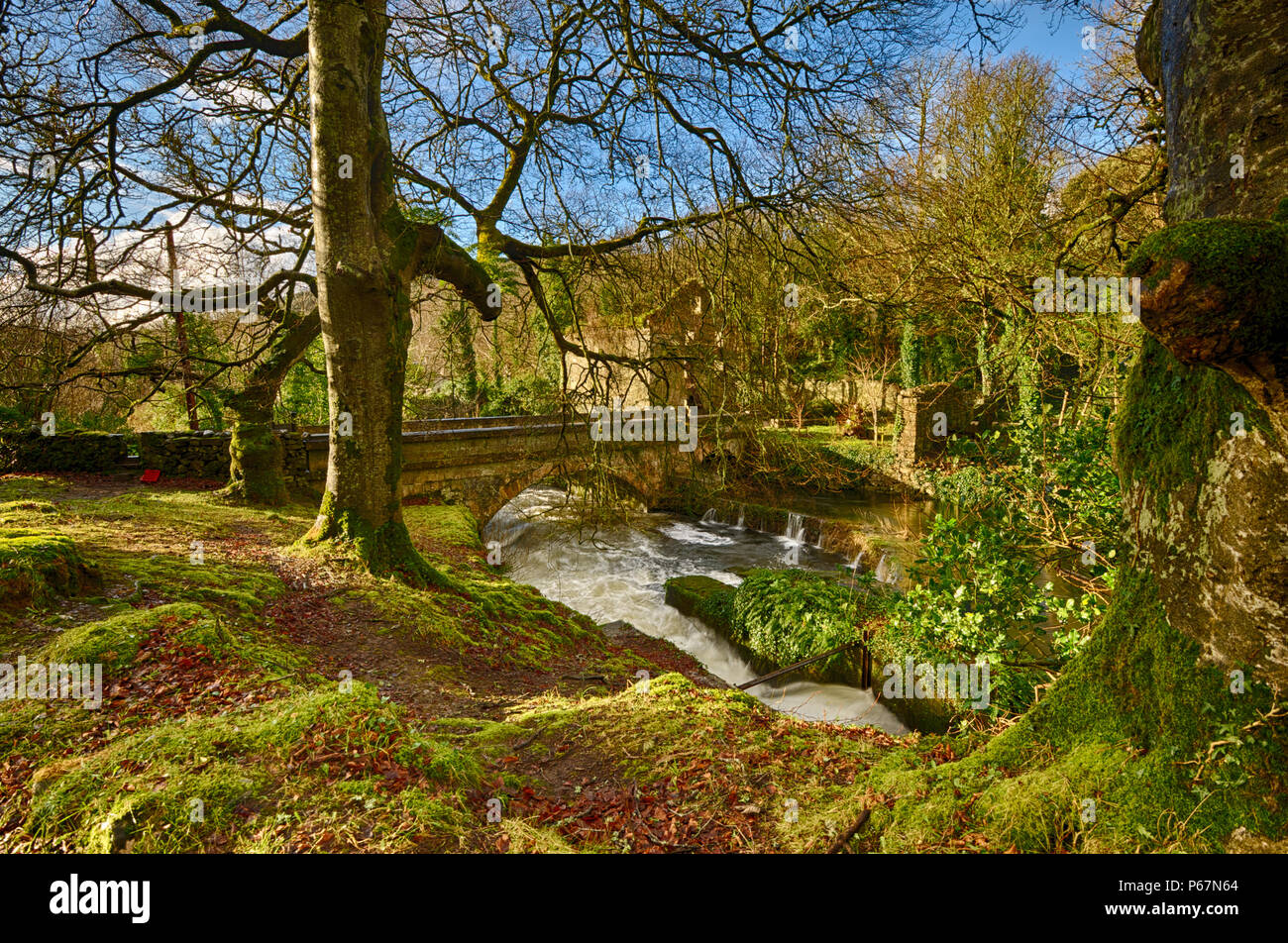 Bridge at Clifden House, Corofin, County Clare, Ireland Stock Photo - Alamy