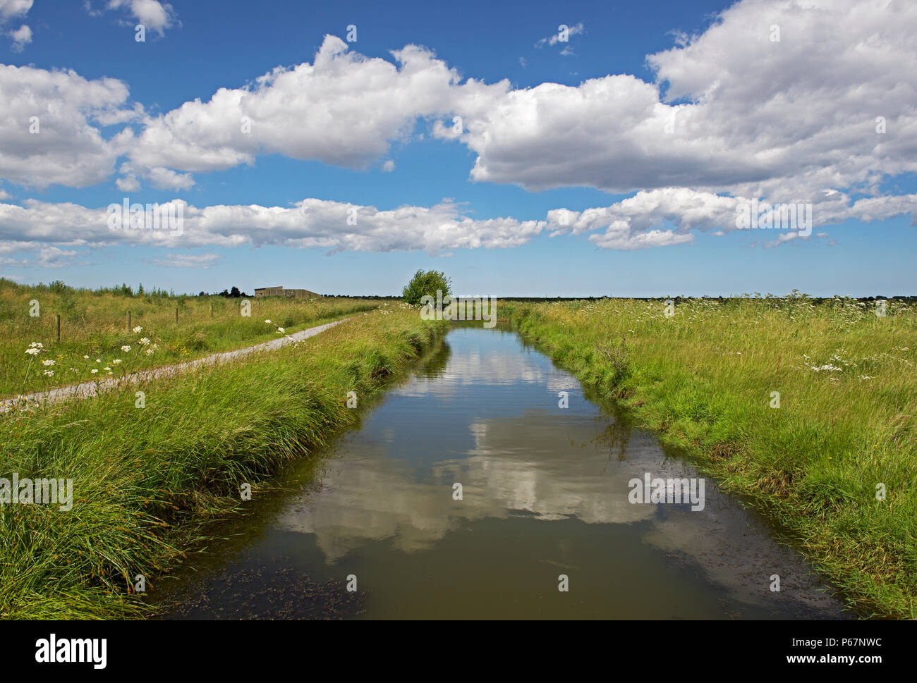 Frampton marsh hi-res stock photography and images - Alamy