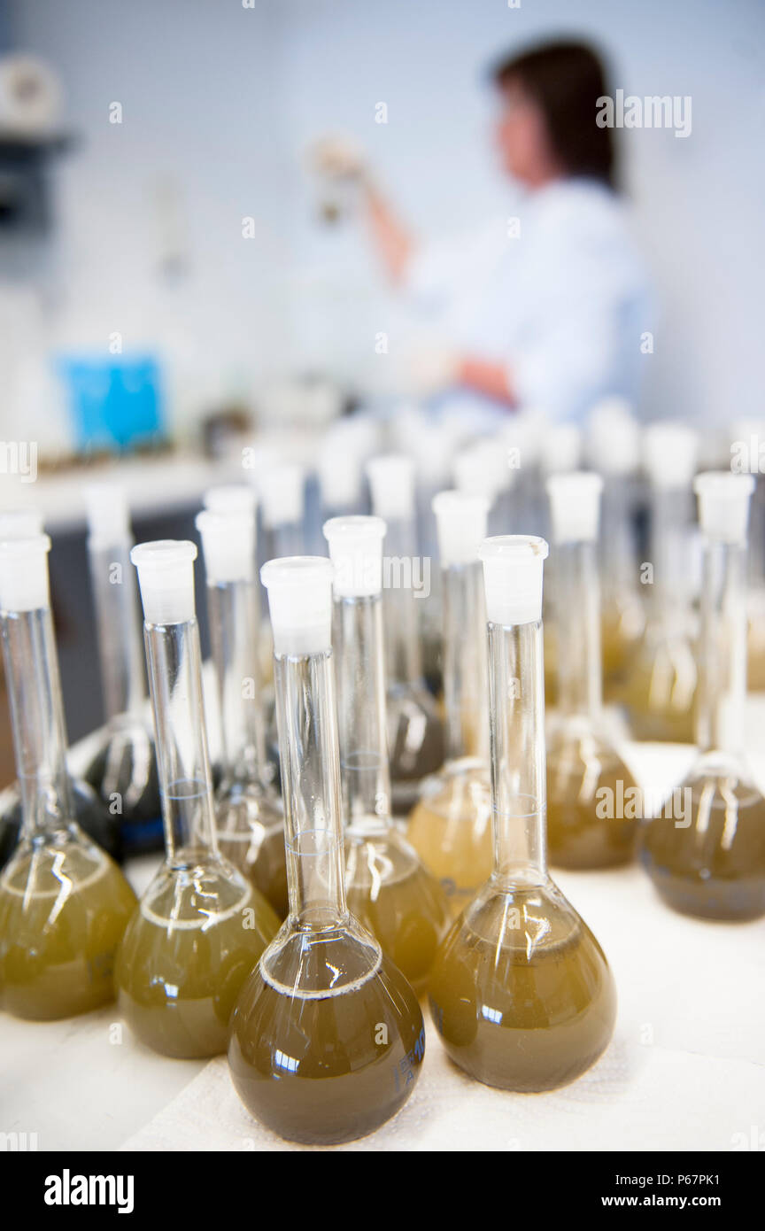 GERMANY , Biogas plant manufacturer MT Energy, laboratory testing ...