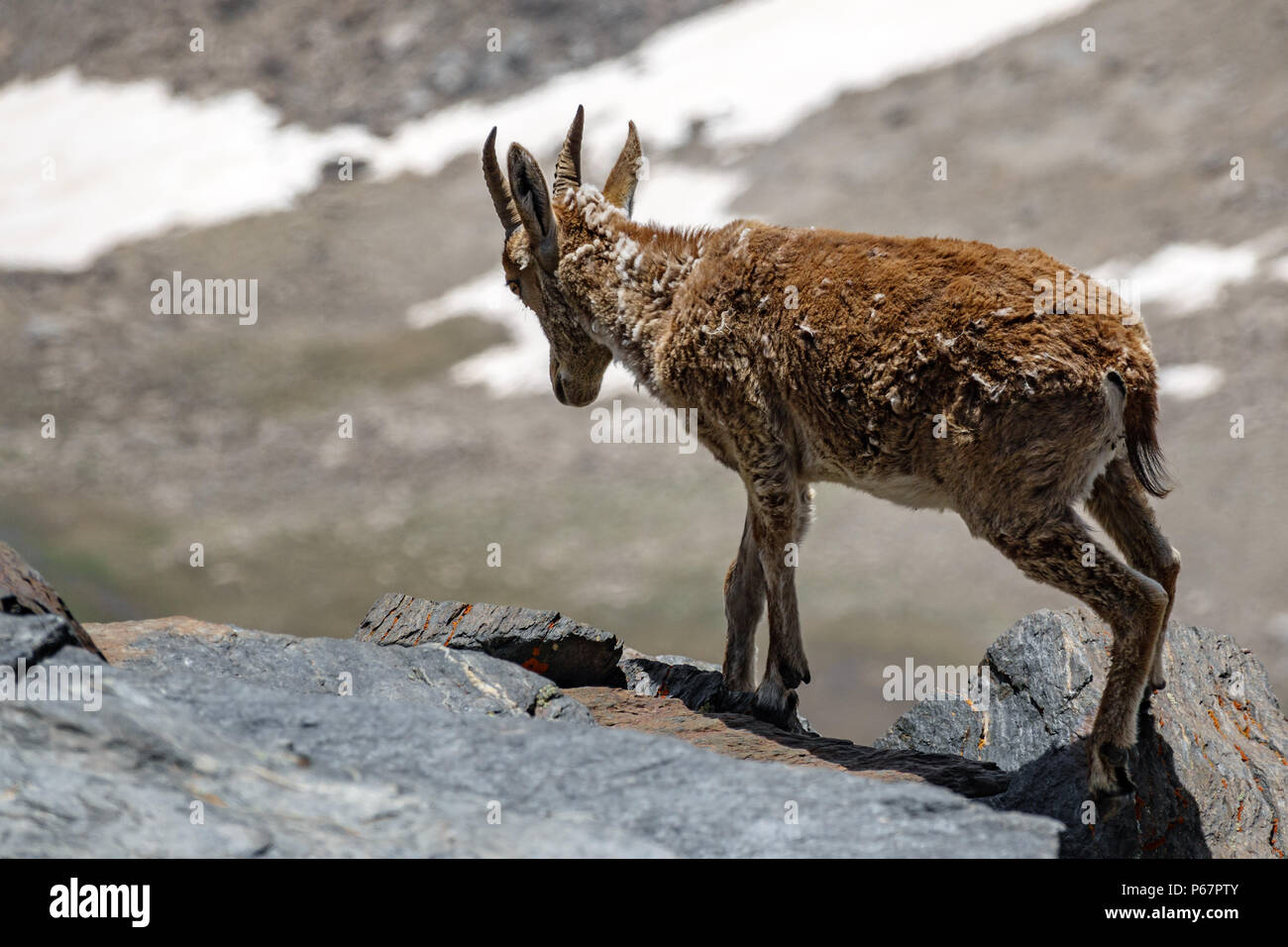 Precipice mountain hi-res stock photography and images - Alamy