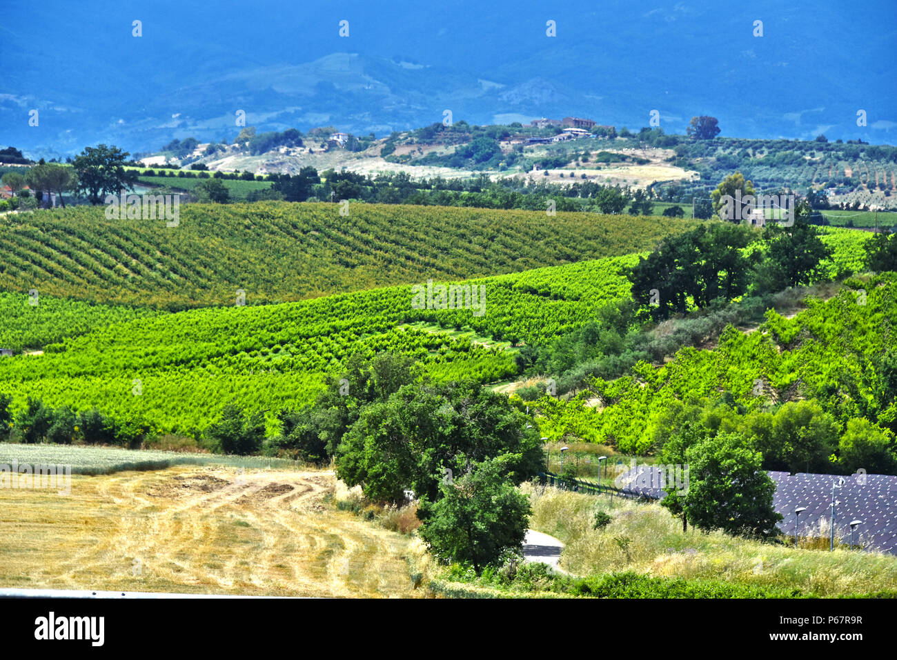 Calabria italy vineyard hi-res stock photography and images - Alamy