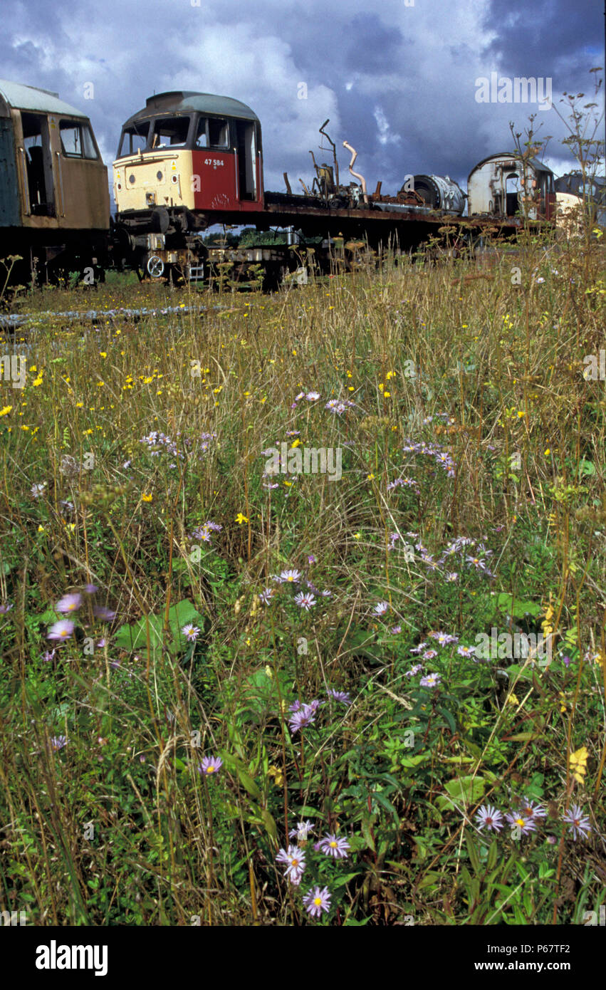 Scrapped diesel locomotives awaiting disposal. C2002 Stock Photo - Alamy