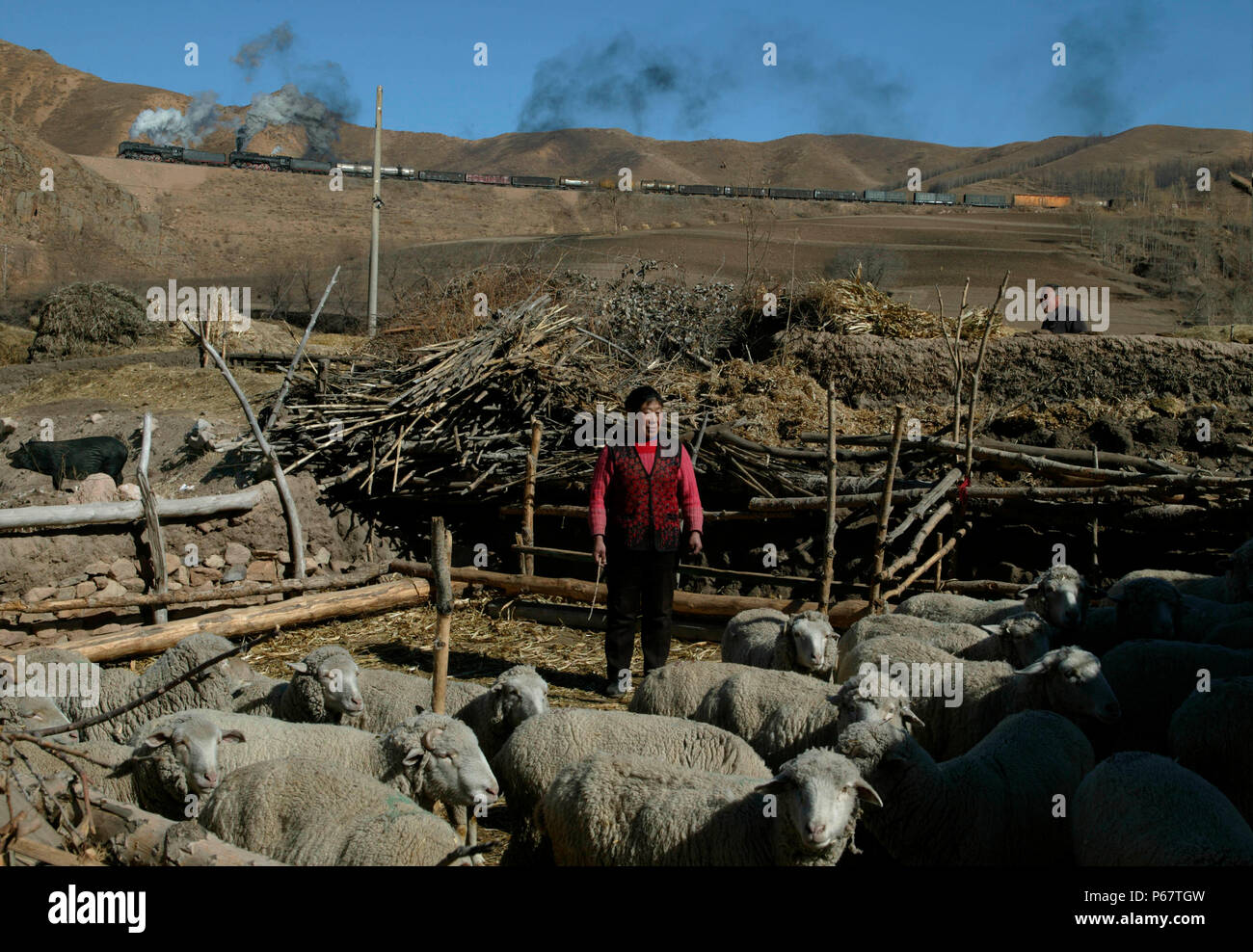 Sheep fold hi-res stock photography and images - Alamy