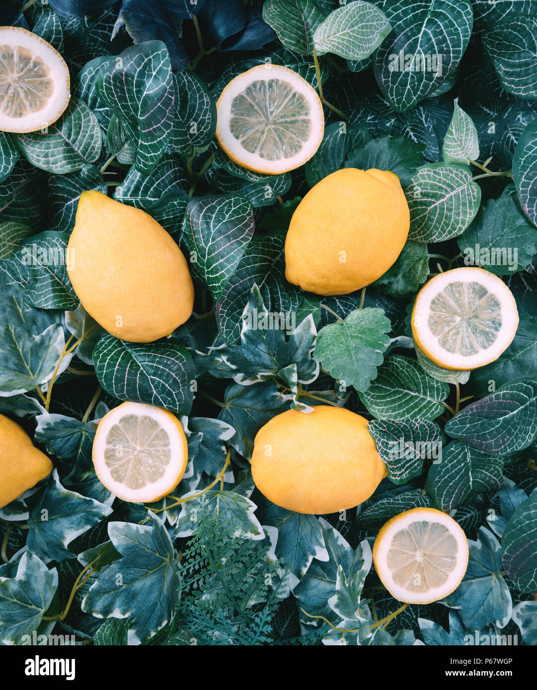 Citrus background. Assorted fresh lemon fruits with leaves Stock Photo ...