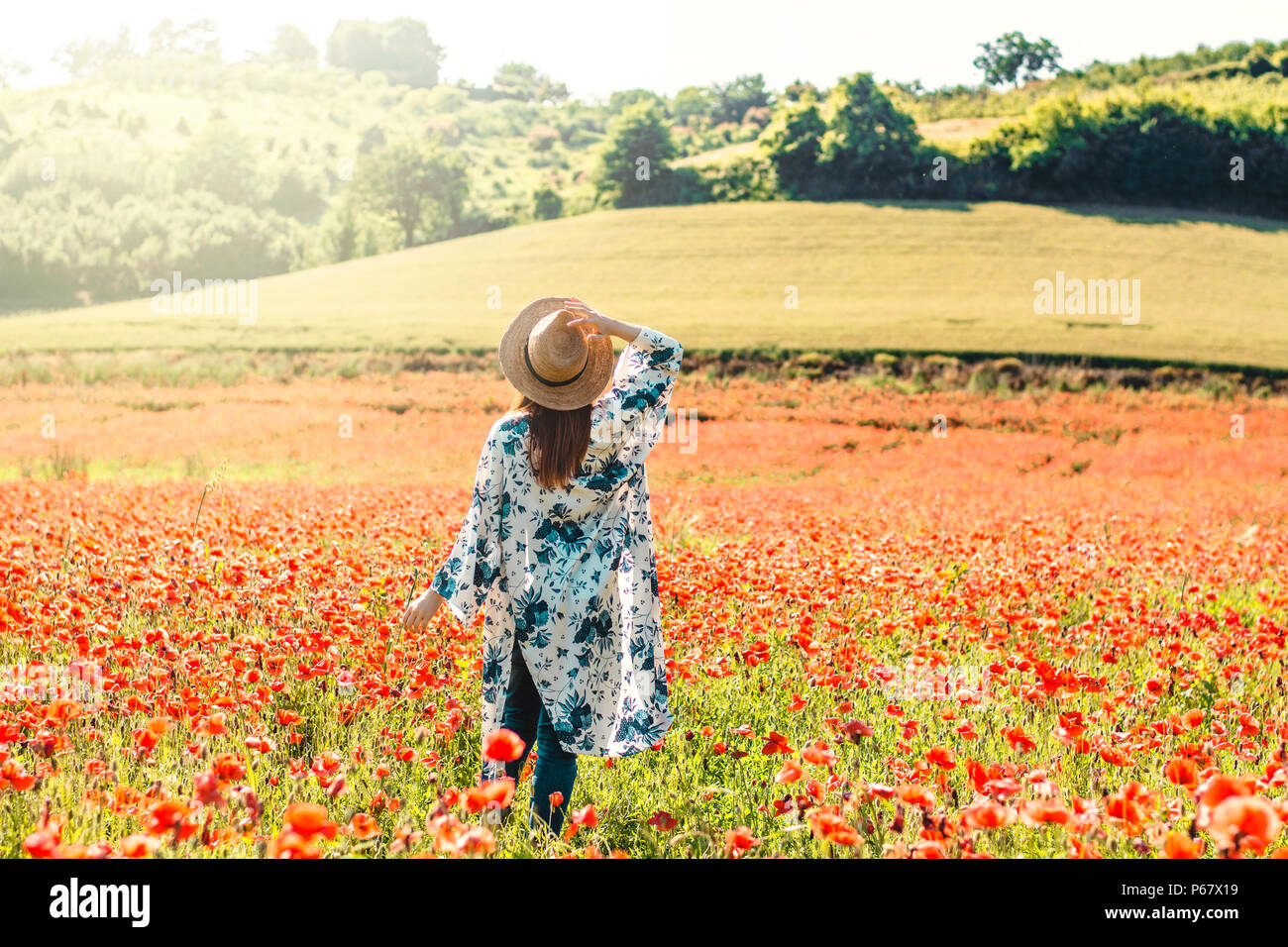 Woman in poppy field hi-res stock photography and images - Alamy