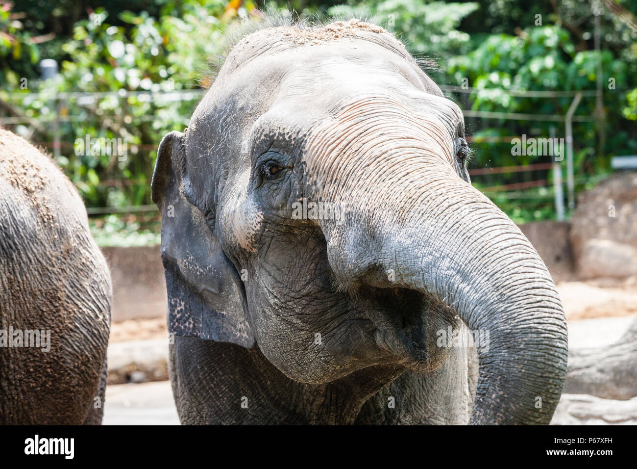 Taipei Zoo,zoo,animal,animals,Taipei,Taipei City,Taiwan,city,island ...