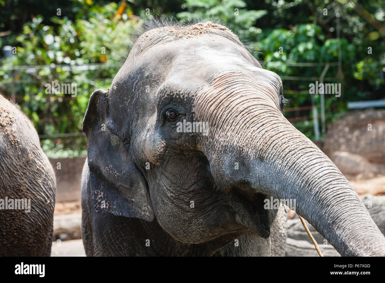 Taipei Zoo,zoo,animal,animals,Taipei,Taipei City,Taiwan,city,island ...
