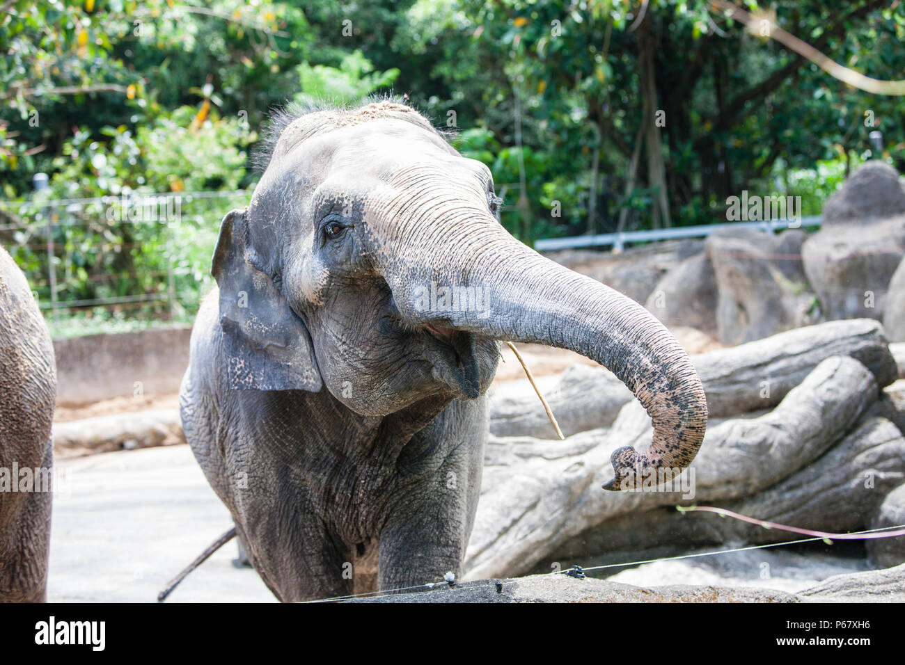 Taipei Zoo,zoo,animal,animals,Taipei,Taipei City,Taiwan,city,island ...