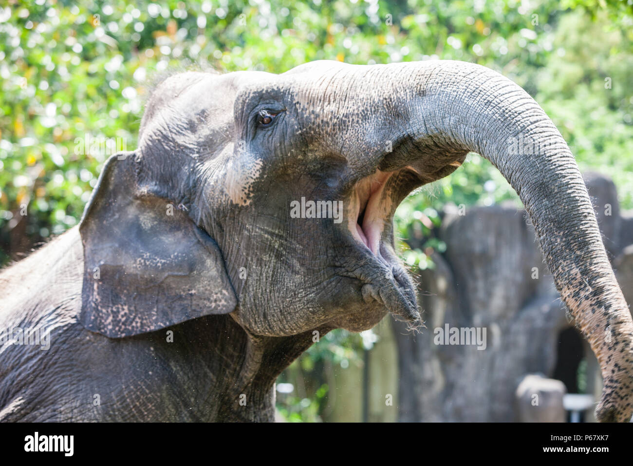 Taipei Zoo,zoo,animal,animals,Taipei,Taipei City,Taiwan,city,island ...