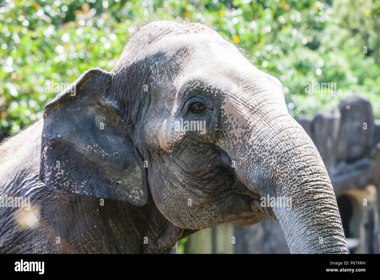 Taipei Zoo,zoo,animal,animals,Taipei,Taipei City,Taiwan,city,island ...