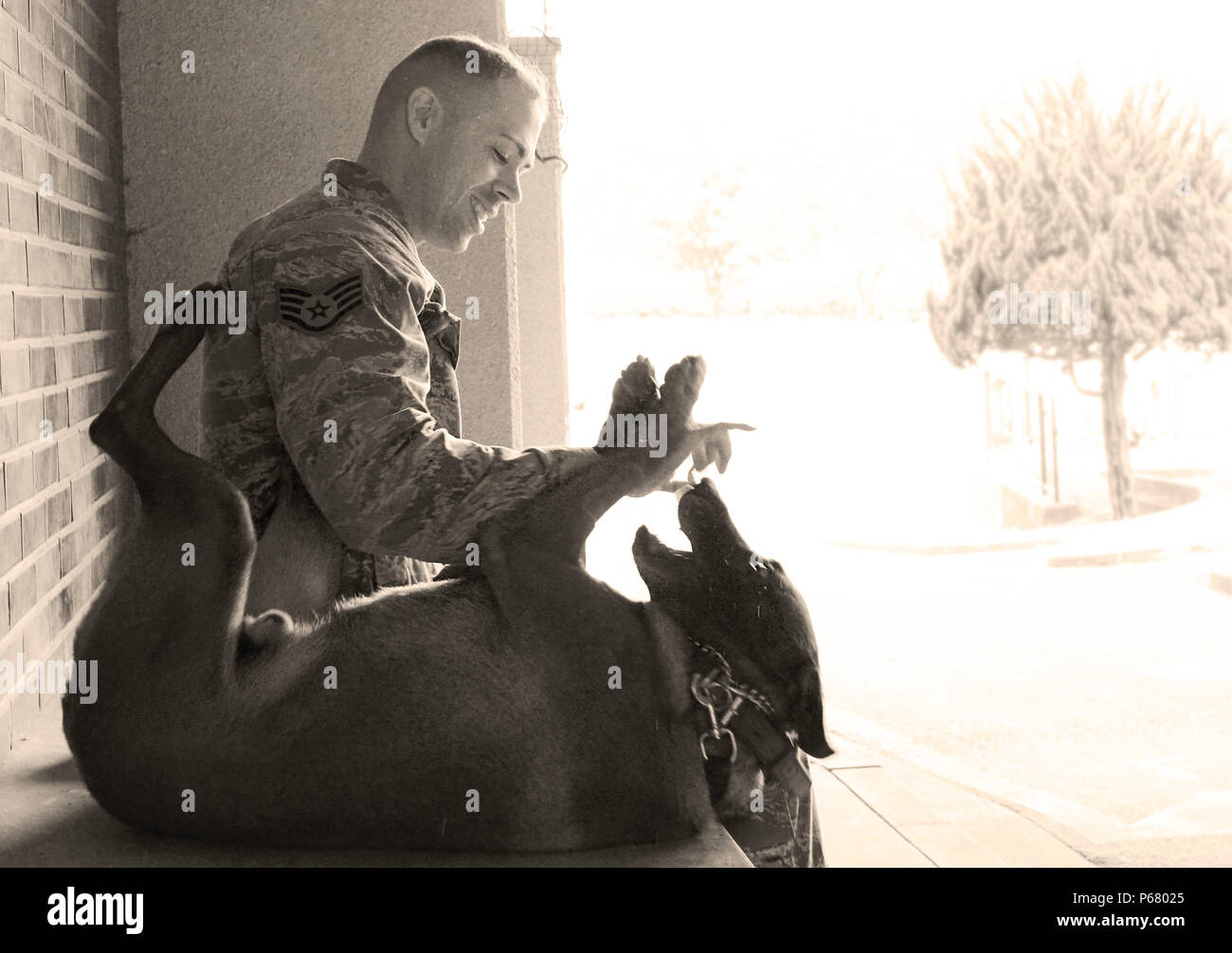 Elizabeth 1st with dog hi-res stock photography and images - Alamy