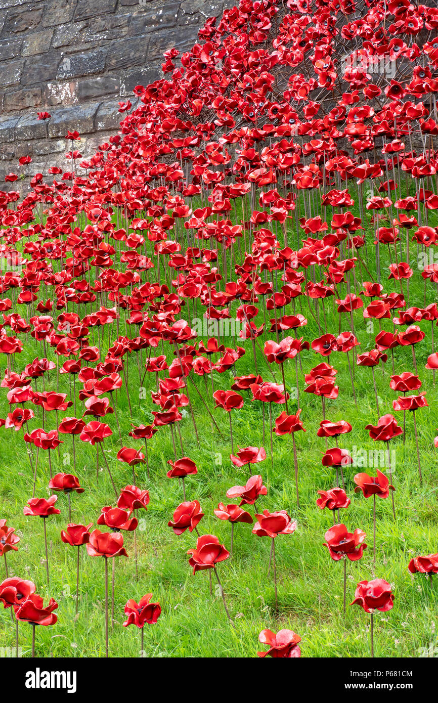 Poppies: Weeping Window at Carlisle Castle Stock Photo - Alamy